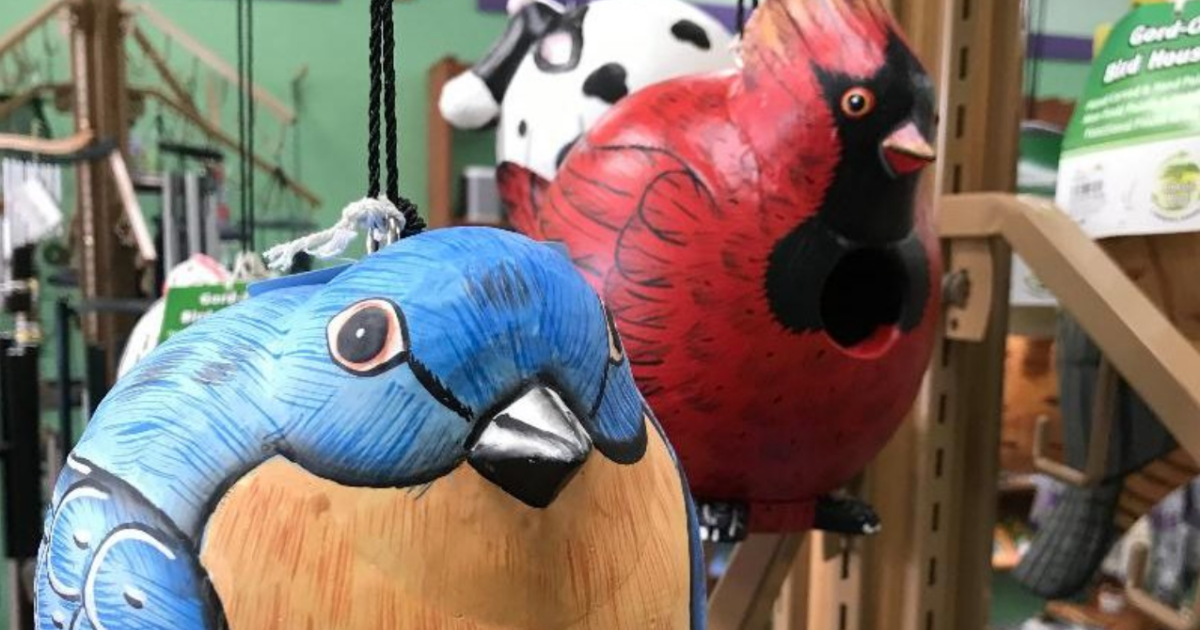 Holiday Gift Guide: Wild Bird Center - Oakton - Focus on NoVA Real Estate