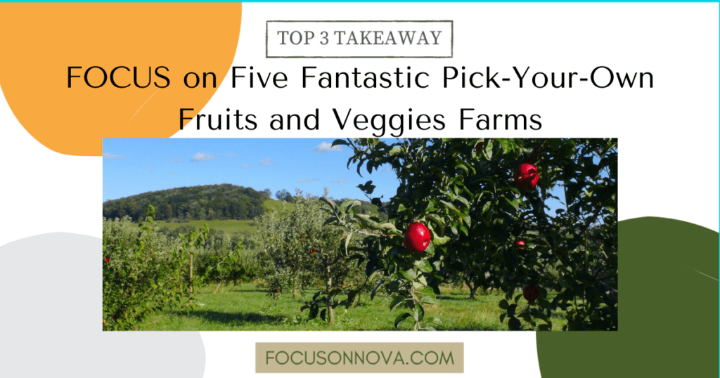FOCUS on Five Fantastic Pick-Your-Own Fruits and Veggies Farms - Focus ...