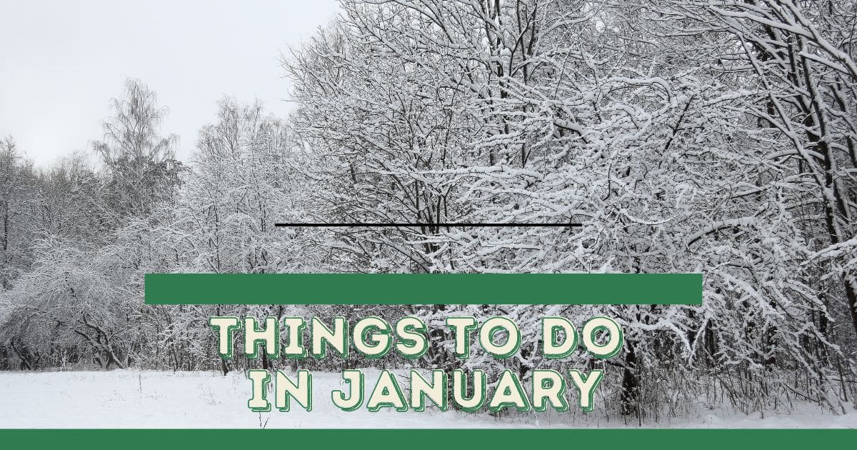 January Things To Do - Focus on NoVA Real Estate