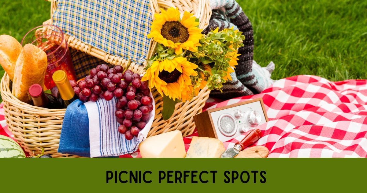 Five Picnic Perfect Spots - Focus on NoVA Real Estate