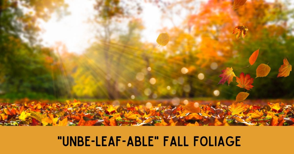 Fall Foliage Spots - Focus on NoVA Real Estate