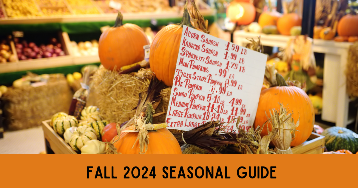 Fall 2024 Seasonal Guide - Focus on NoVA Real Estate